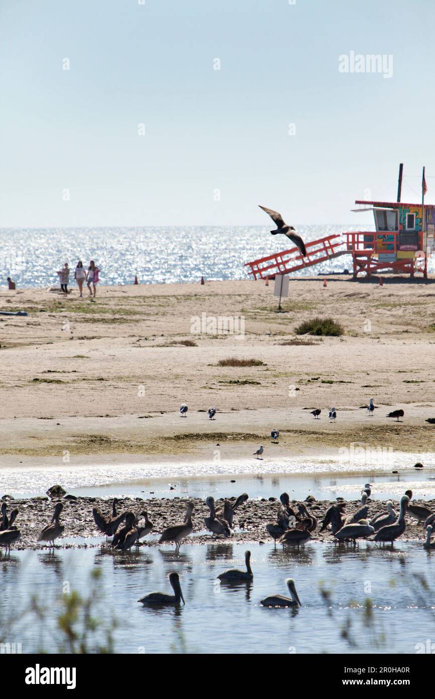 USA, California, Malibu, USA, a view of Surfrider Beach from the ...