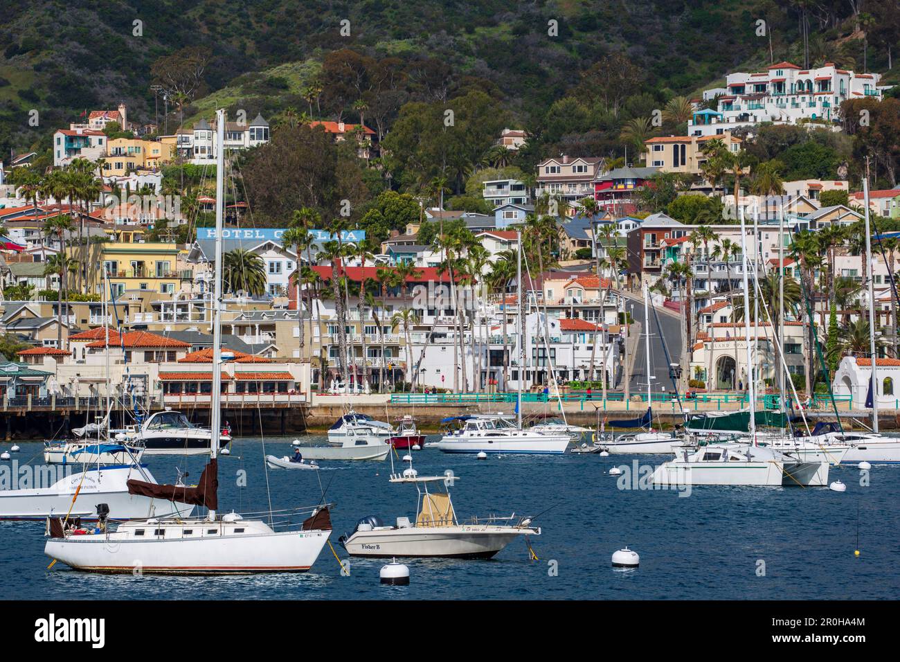 Avalon City, Catalina Island, Southern California, USA Stock Photo - Alamy