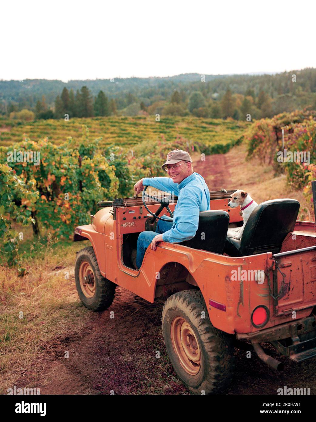 USA, California, Greg Boeger and his dog Kirby check on the vines at ...