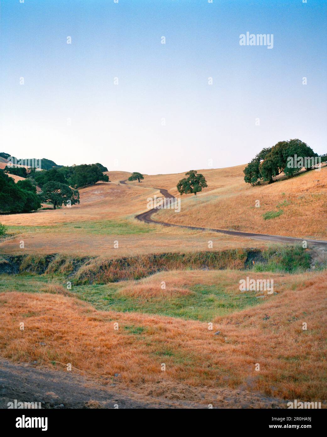 Oak forest station hi-res stock photography and images - Alamy