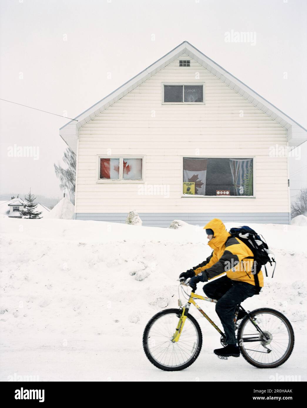 CANADA, man riding bicycle in snow in front of house, Fernie Stock ...