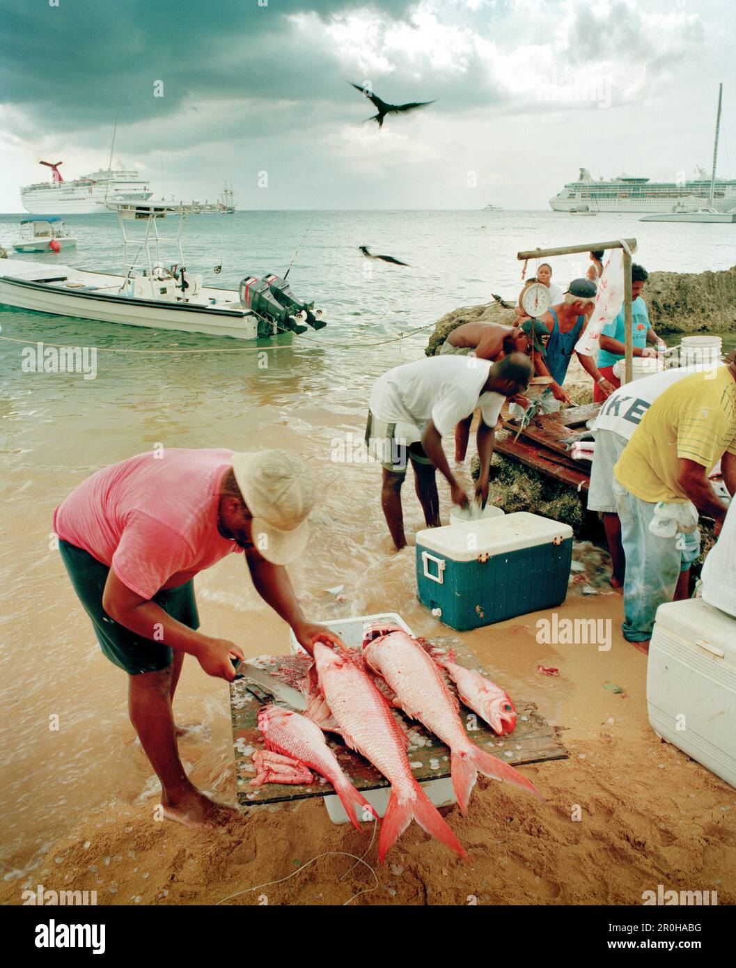 CAYMAN ISLANDS, Caribbean, fishermen cutting and selling red snapper ...