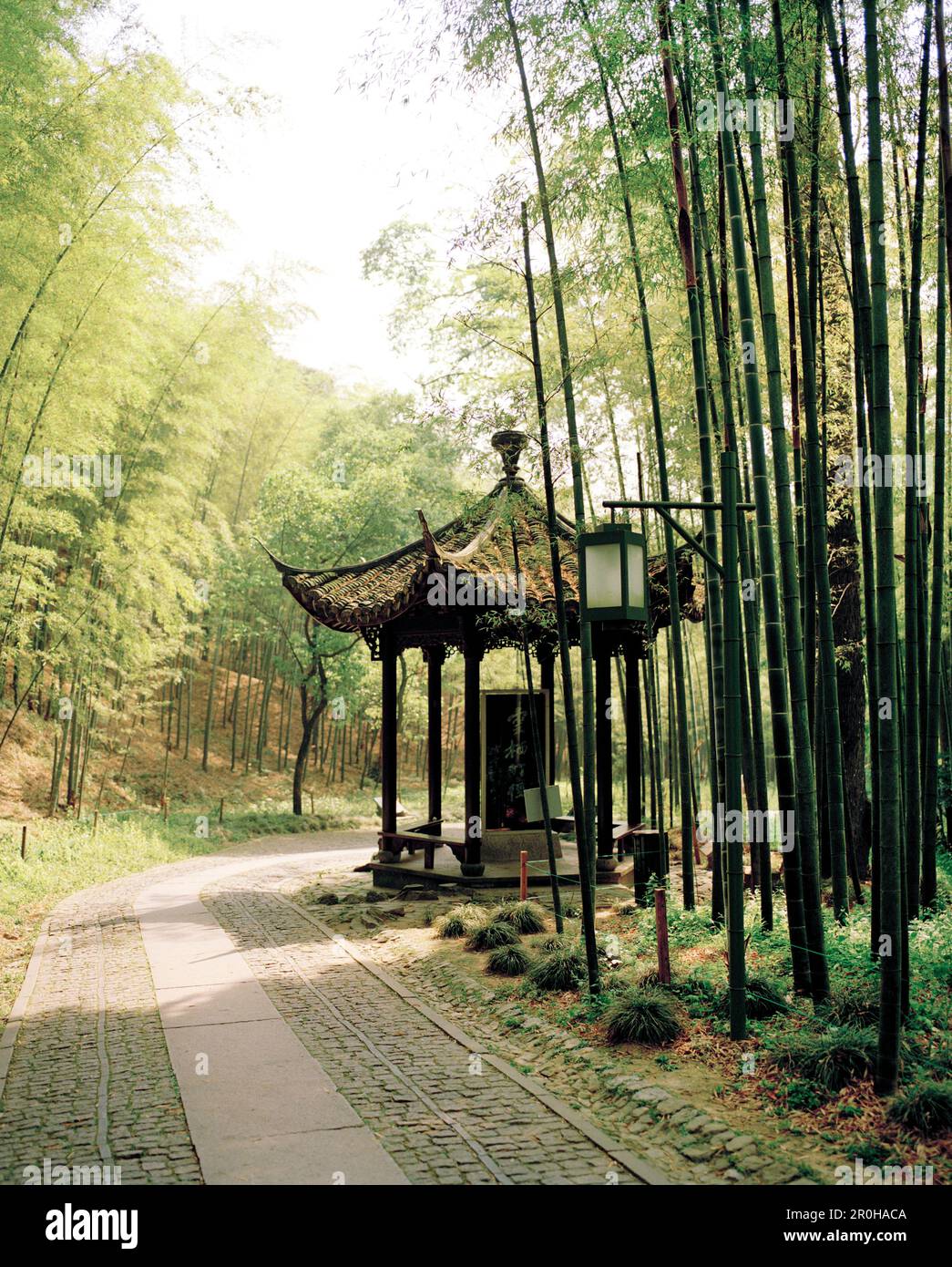 CHINA, Hangzhou, old temple in Meijai Wu bamboo forest Stock Photo - Alamy