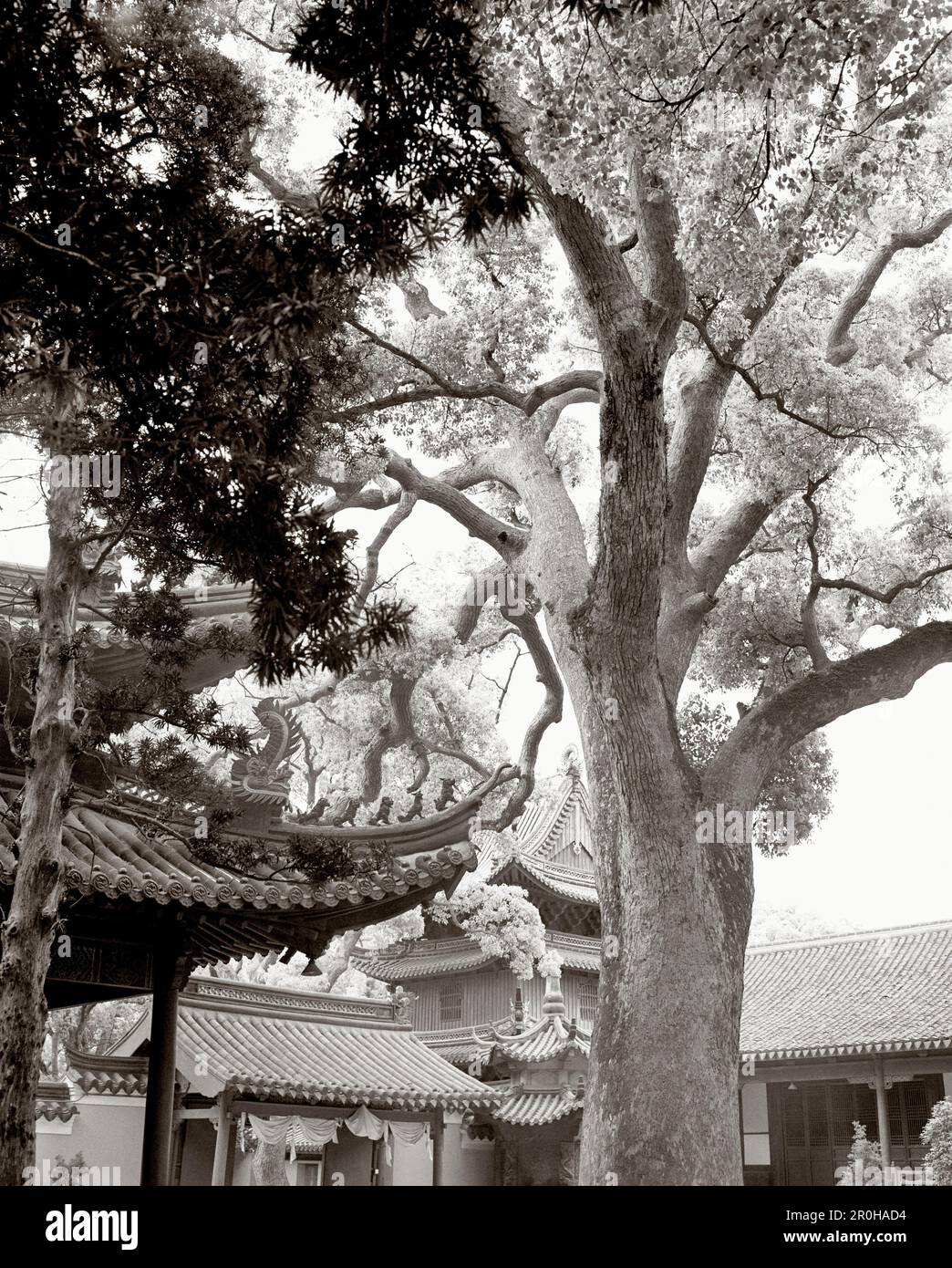 Fayu temple hi-res stock photography and images - Alamy