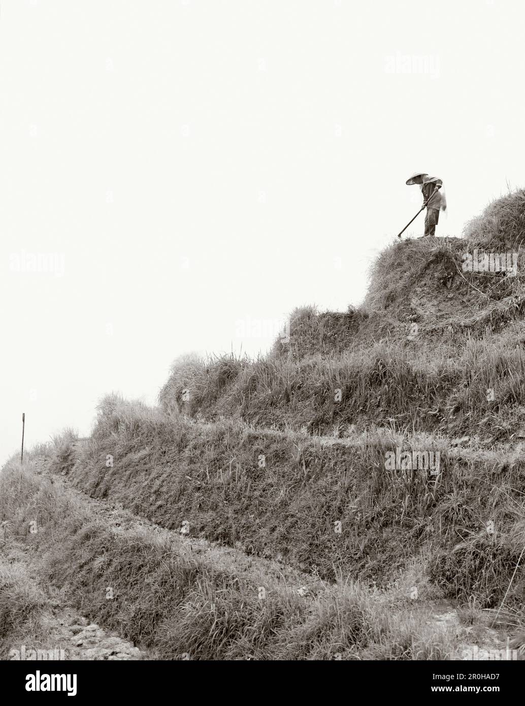 CHINA, farmer working in Dragon Backbone Rice Terraces (B&W Stock Photo ...