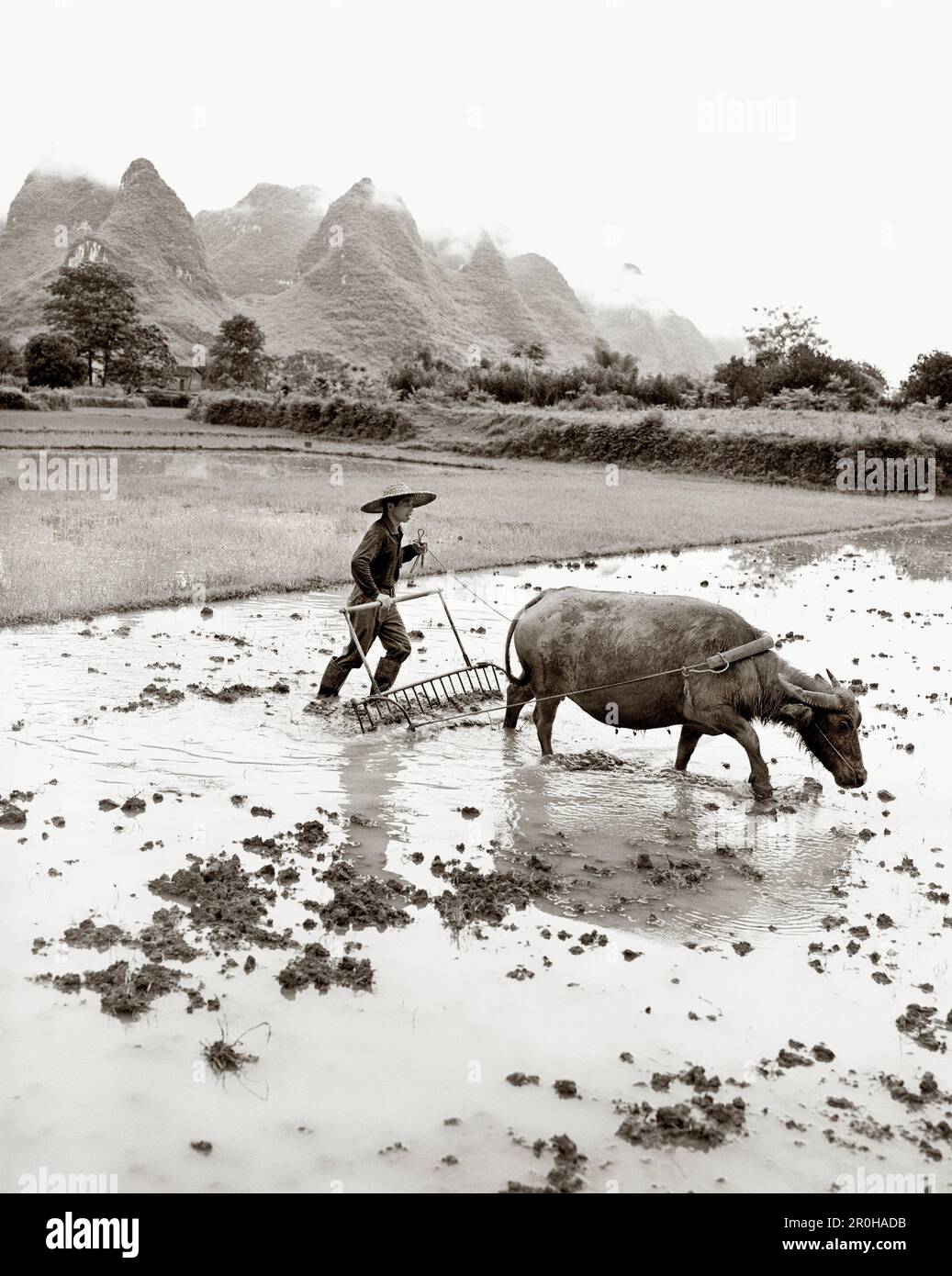China agriculture plough hi-res stock photography and images - Alamy