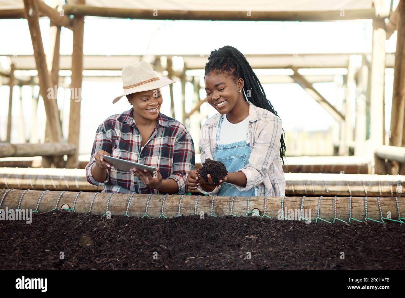 Two farmers checking soil quality. African american farmer holding dirt ...