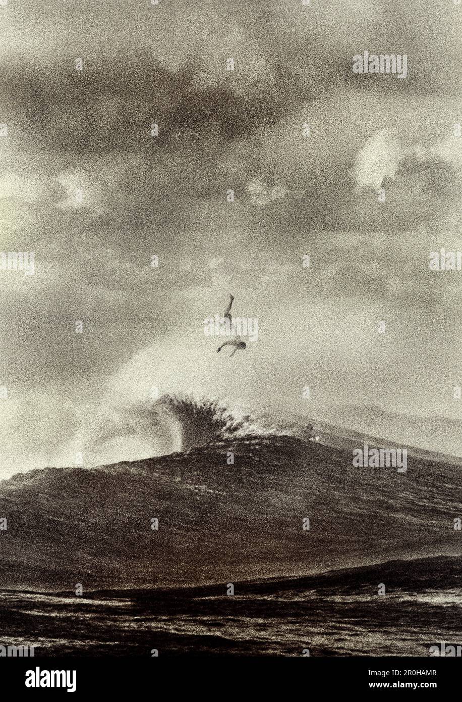 FIJI, surfer bailing out of a big wave, Frigates Pass (B&W Stock Photo ...