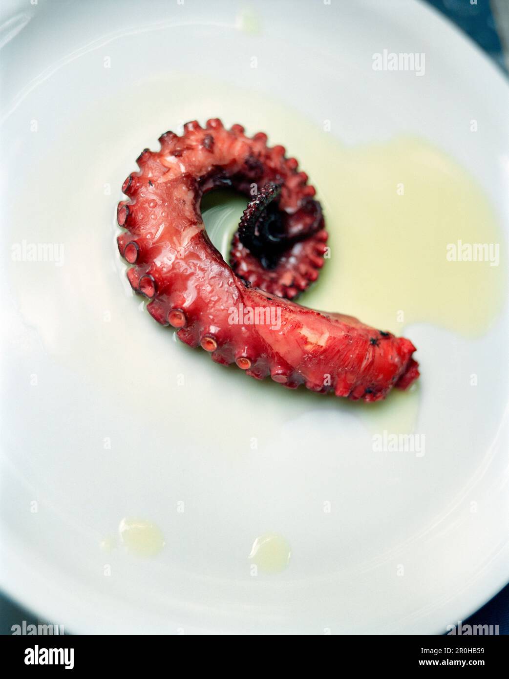 GREECE, Patmos, Dodecanese Island, freshly caught octopus served at ...