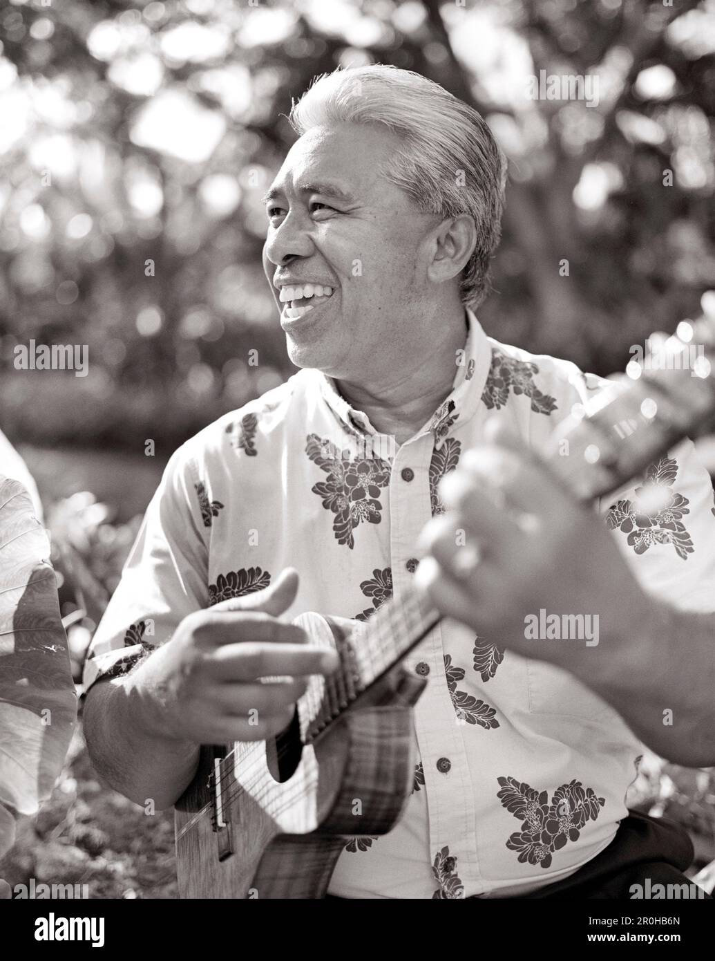 USA, Hawaii, smiling senior man playing ukulele, Four Seasons, The Big ...