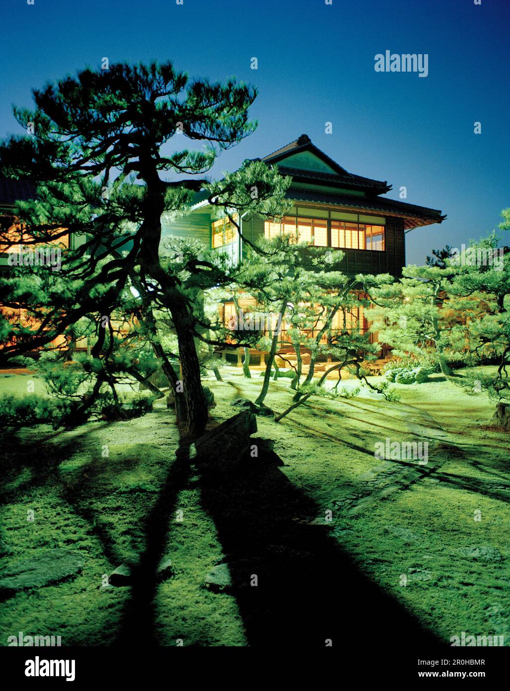 JAPAN, Kyushu, night shot of trees and Yoyokaku Ryokan Stock Photo - Alamy