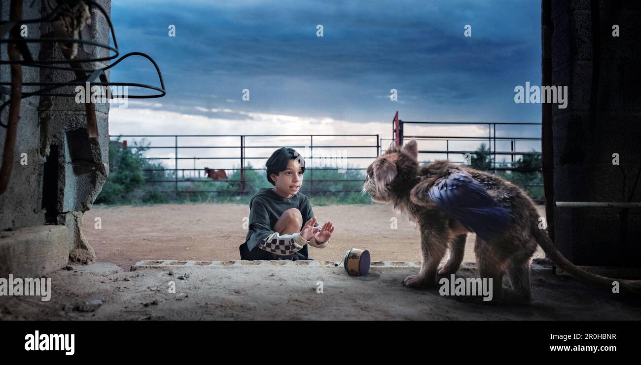 CHUPA, Evan Whitten, 2023. © Netflix /Courtesy Everett Collection Stock ...