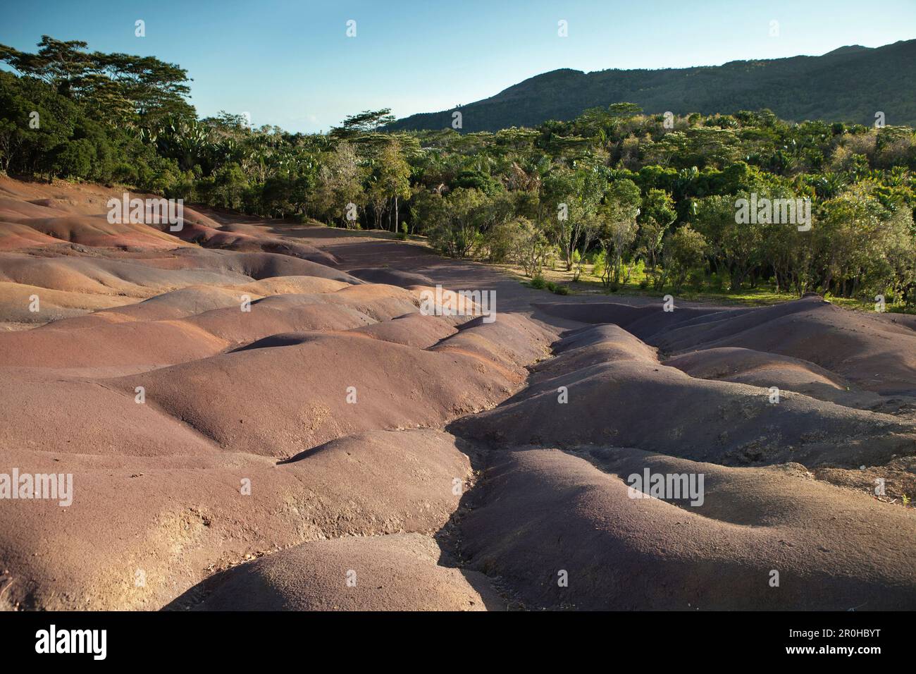 MAURITIUS, Chamarel, landscape at Seven Coloured Earth, a geological ...