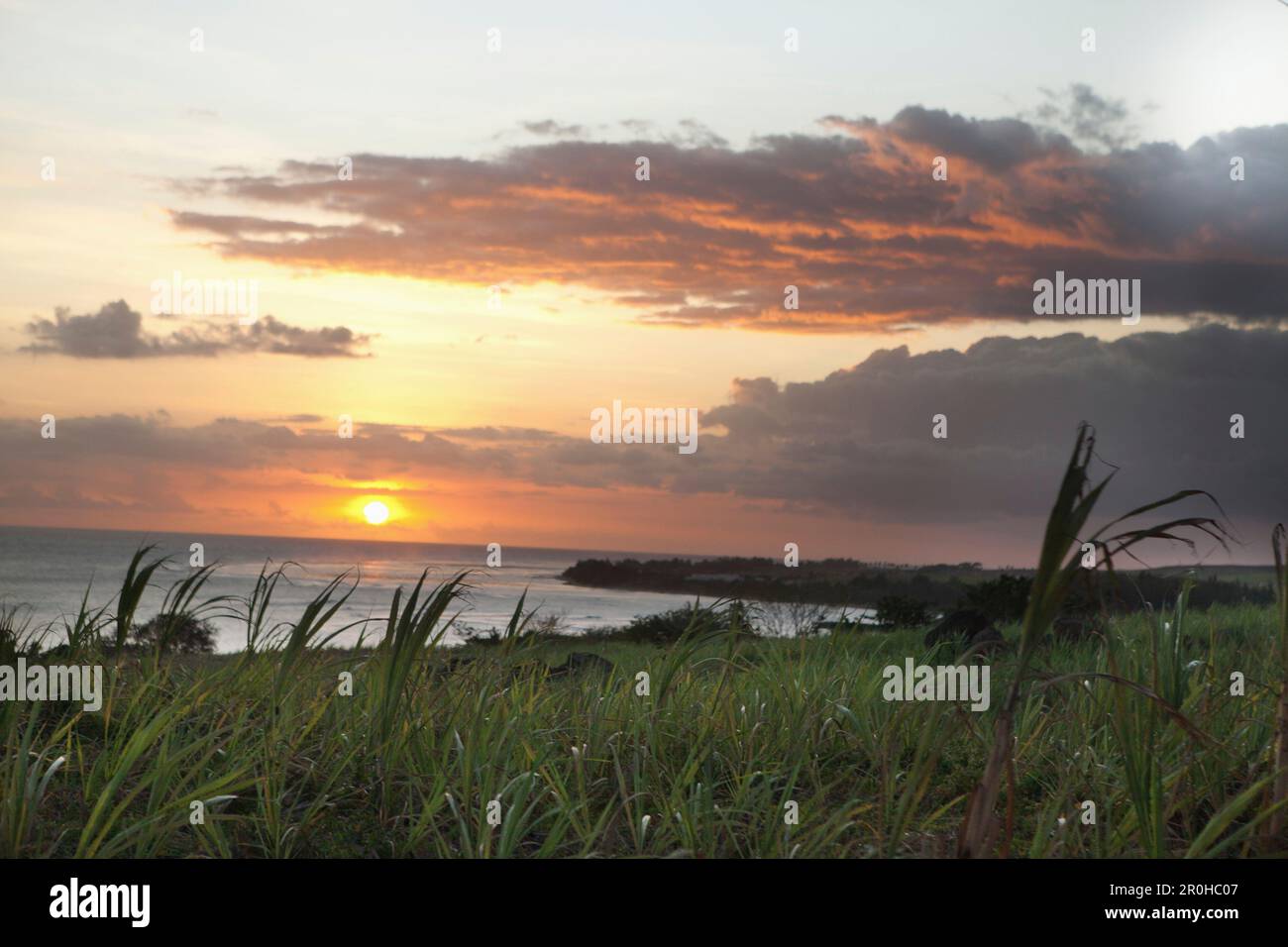 MAURITIUS, sugar cane fields and the Indian Ocean on the West coast at ...
