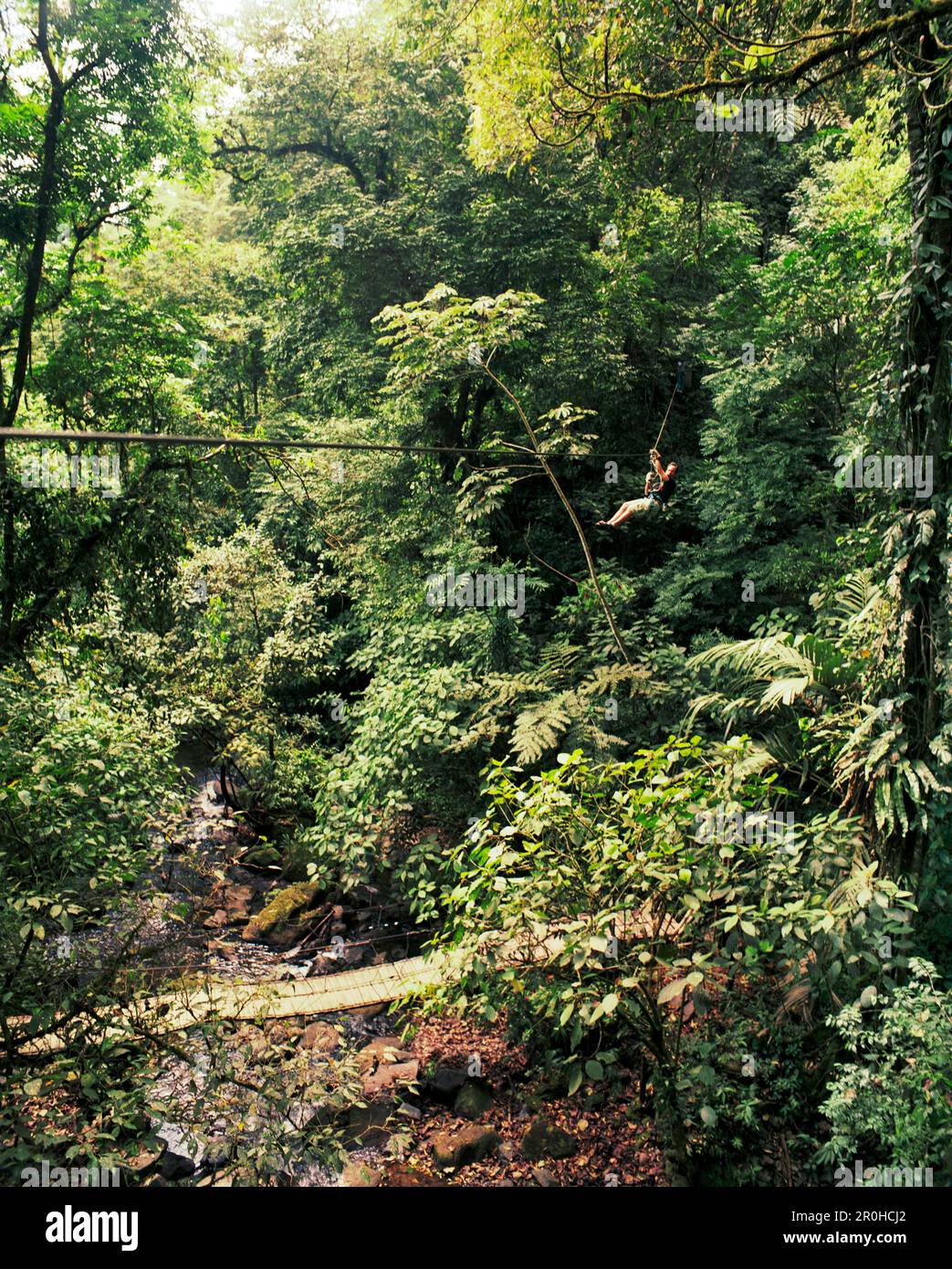 PANAMA, El Valle, Canopy zip line adventure in the treetops of the ...