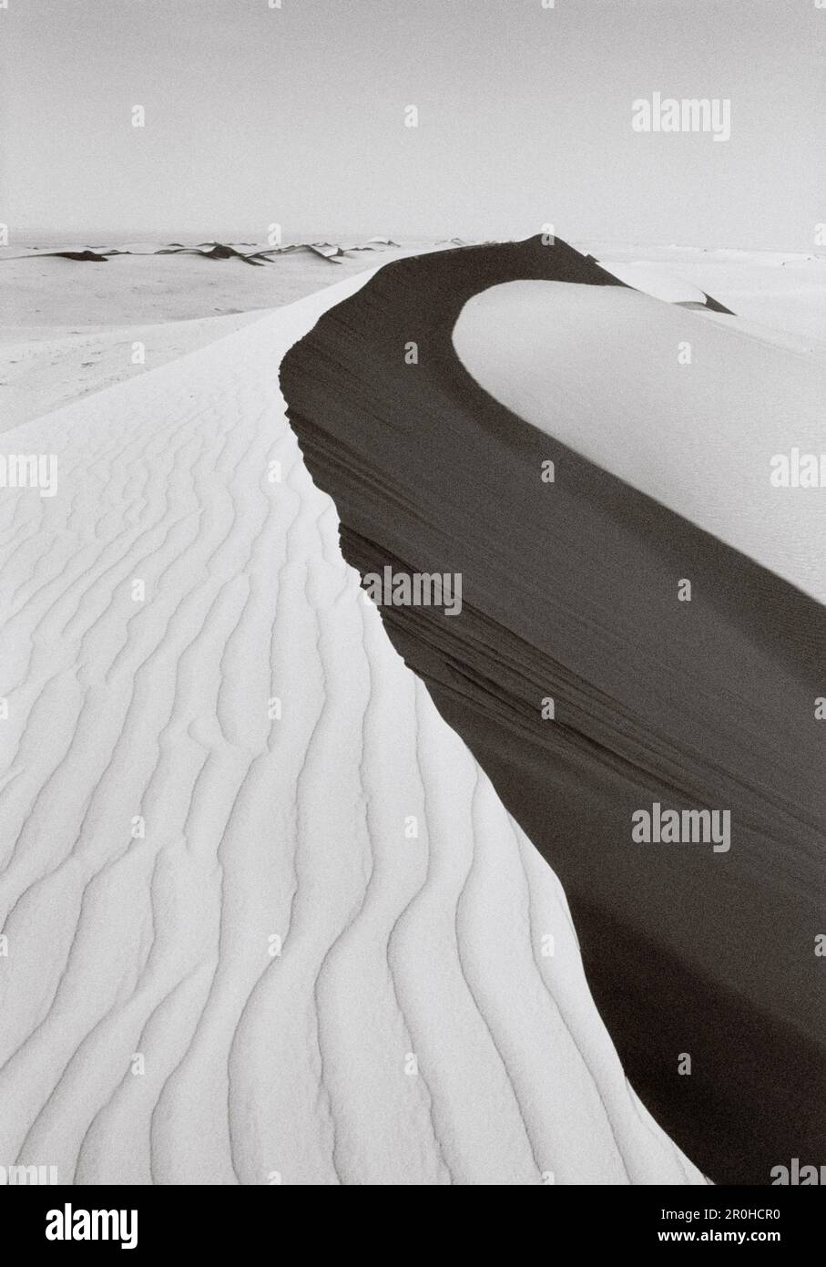 SAUDI ARABIA, sand dunes in desert, The Empty Quarter, Najran (B&W ...