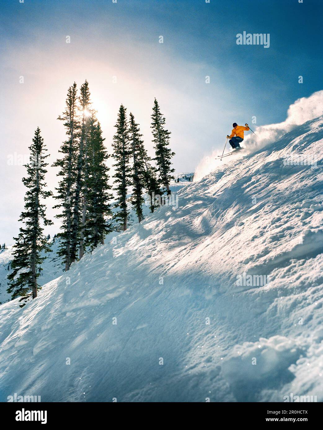 USA, Utah, skier and trees backlight on a run called Blitz, Alta Ski ...