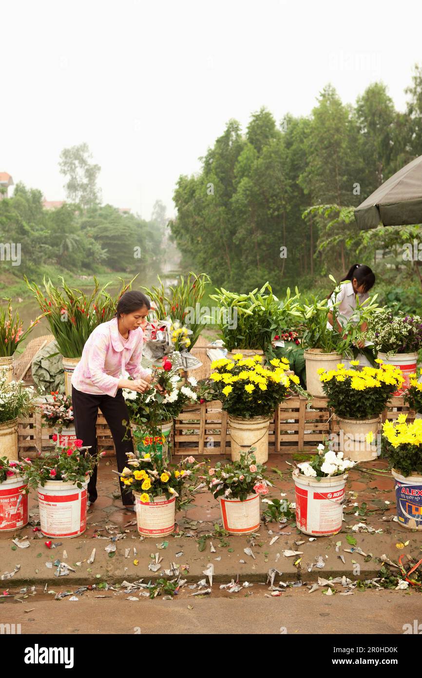 VIETNAM, Hanoi, Countryside, women sell flowers at a road side market ...