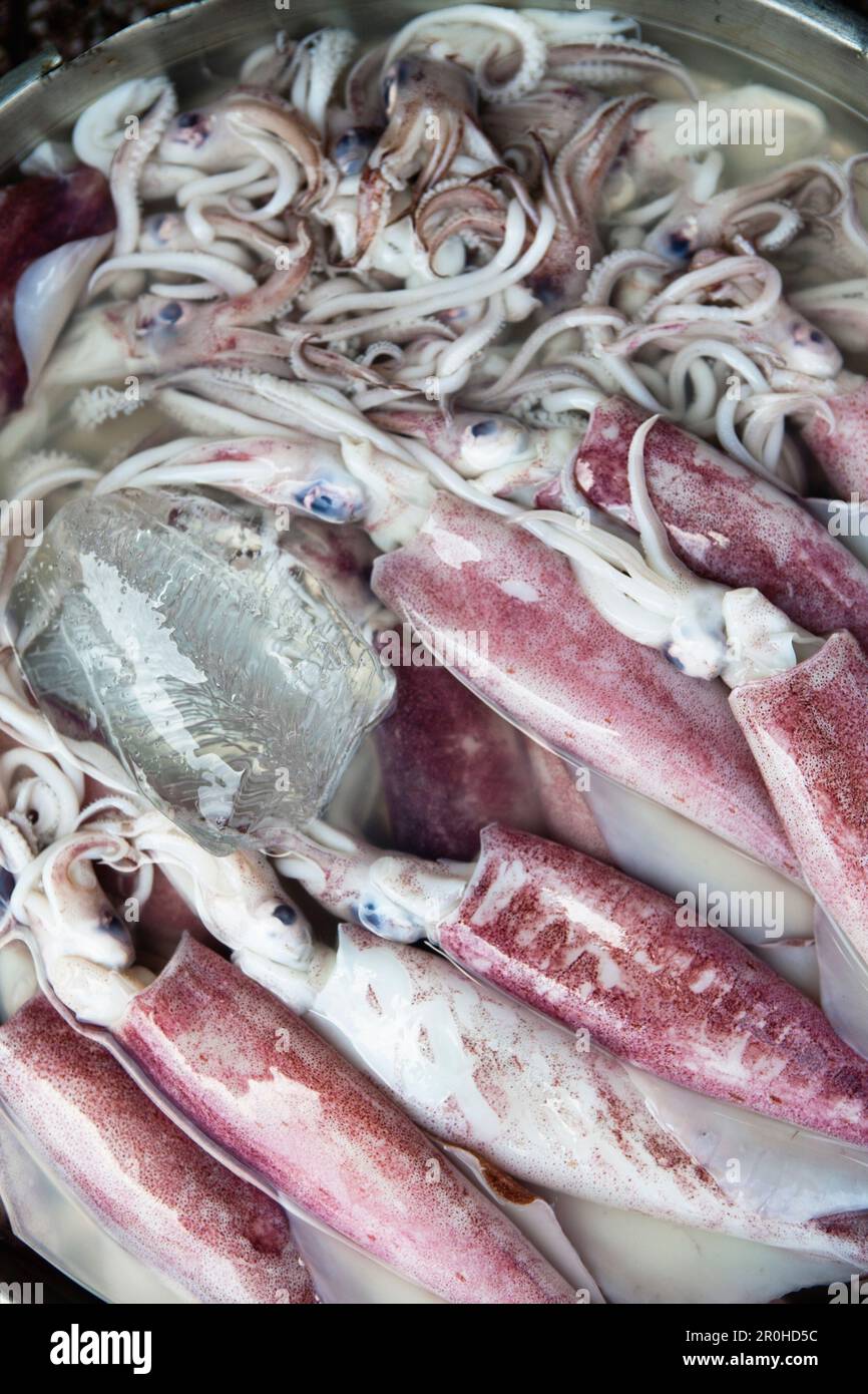 VIETNAM, Saigon, Ben Thanh Market, squid for sale in the fish section ...