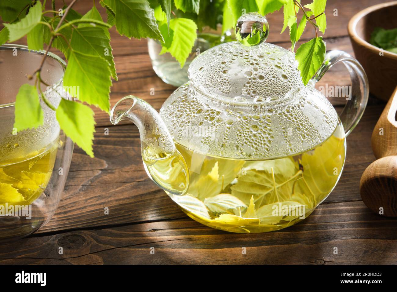 Glass teapot with birch leaf tea. Kettle and cup of healthy birch leaf ...