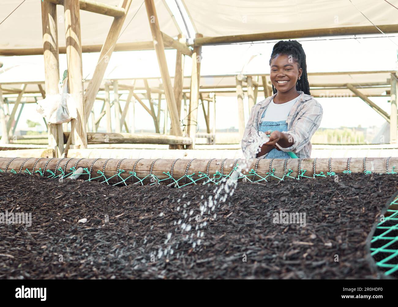 Happy farmer watering a bed of soil. Young farmer watering a bed of ...