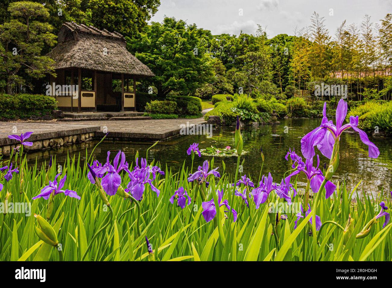 Jozan-en Iris Pond Garden - Benhind the dry karesansui garden at Jozan ...