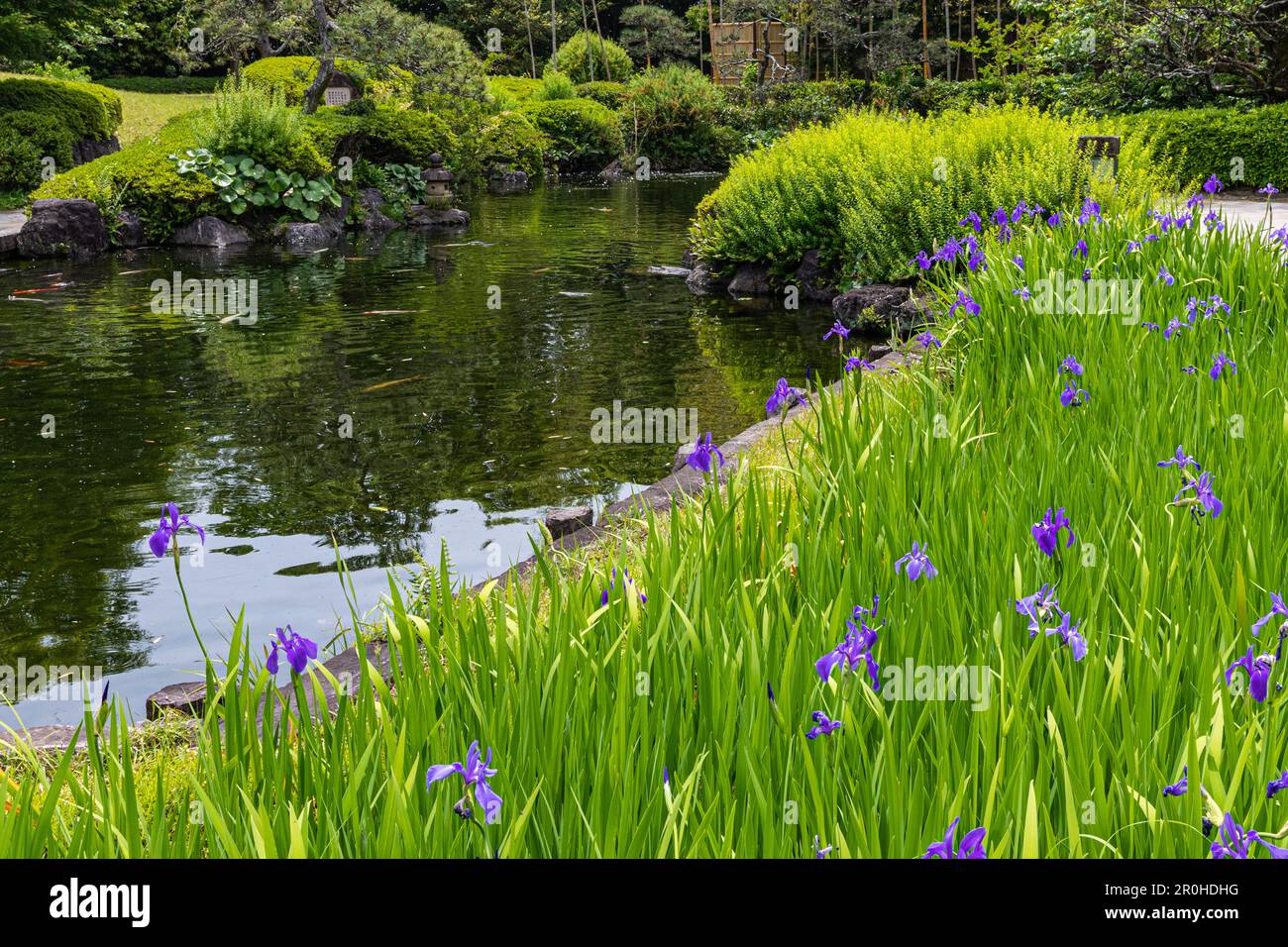 Jozan-en Iris Pond Garden - Benhind the dry karesansui garden at Jozan ...