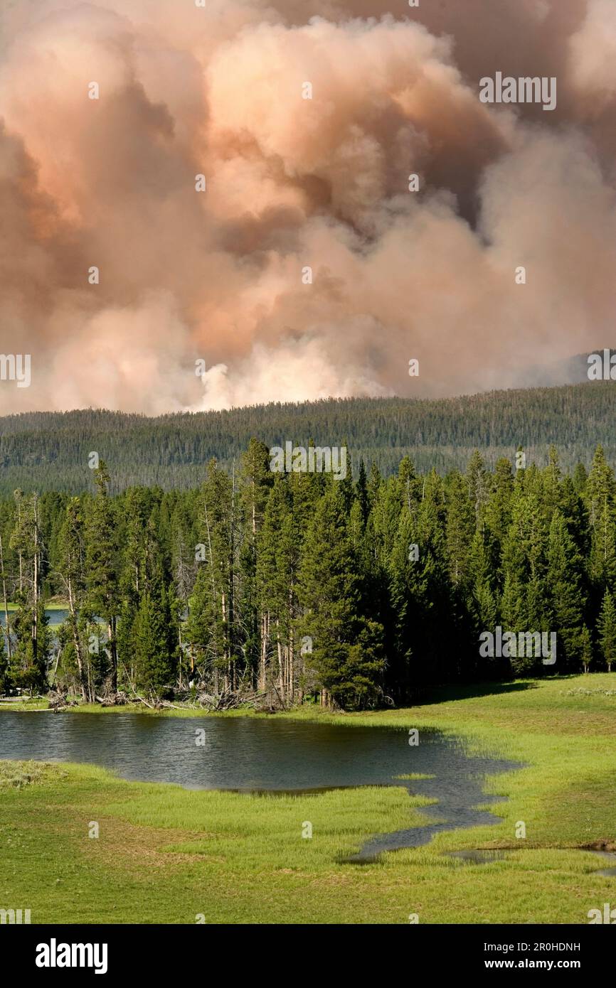 USA, Wyoming, Yellowstone National Park, geysers steam at Old Faithful ...