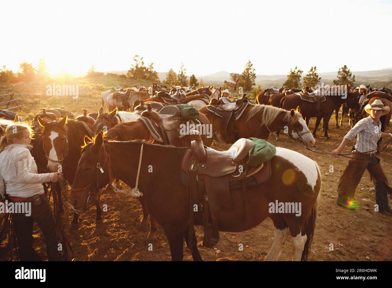 USA, Wyoming, Encampment, wranglers gather horses for guests at a dude ...