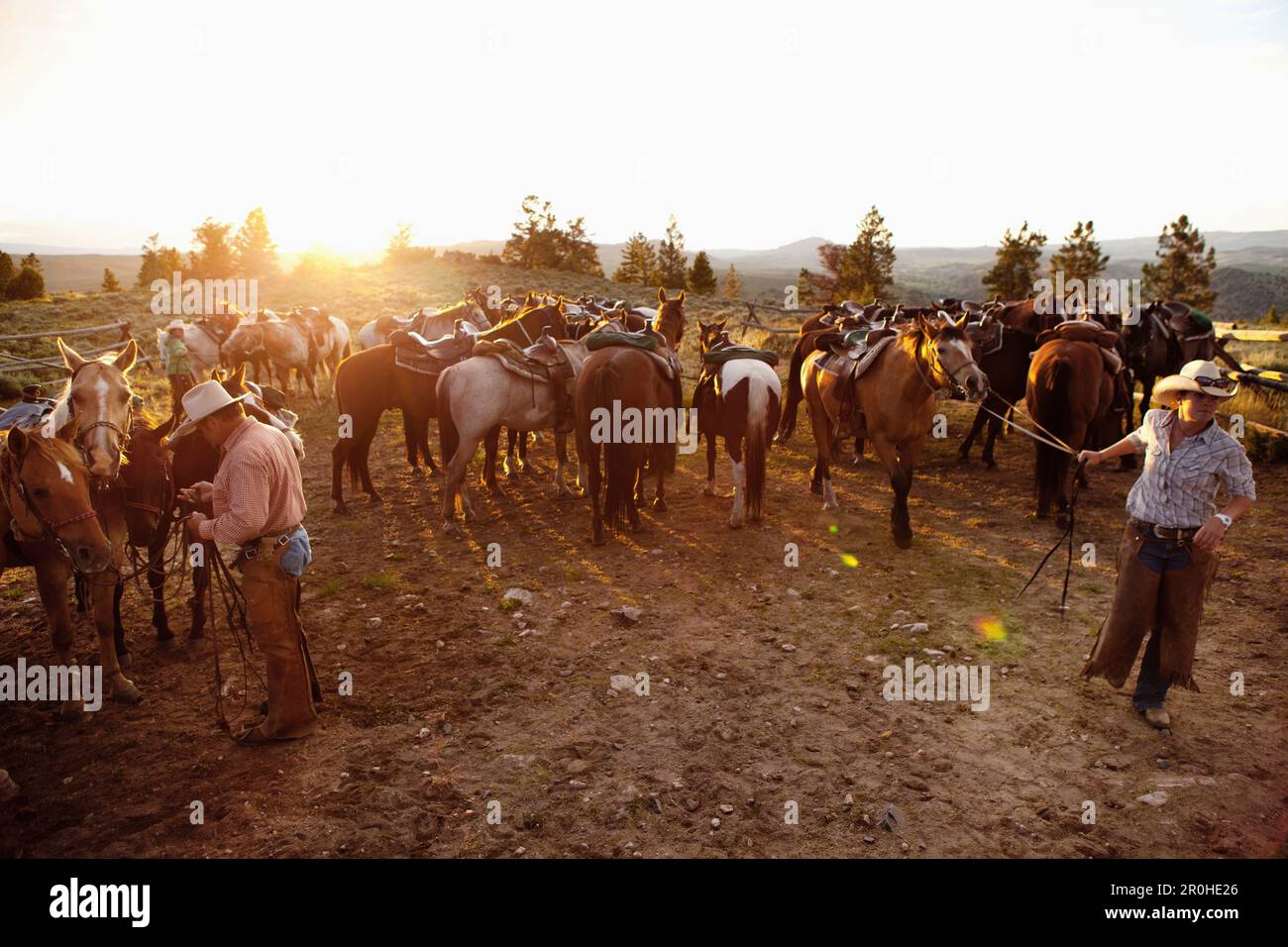 USA, Wyoming, Encampment, wranglers gather horses for guests at a dude ...