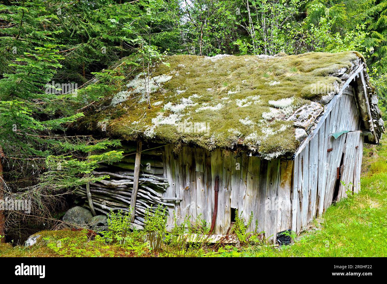 Decaying cottage hi-res stock photography and images - Alamy