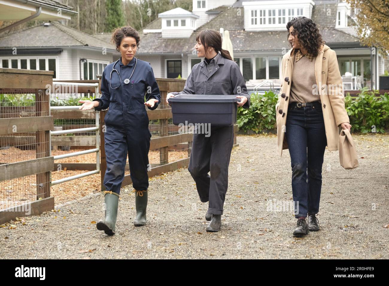 ANIMAL CONTROL, from left: Alvina August, Grace Palmer, Vella Lovell ...