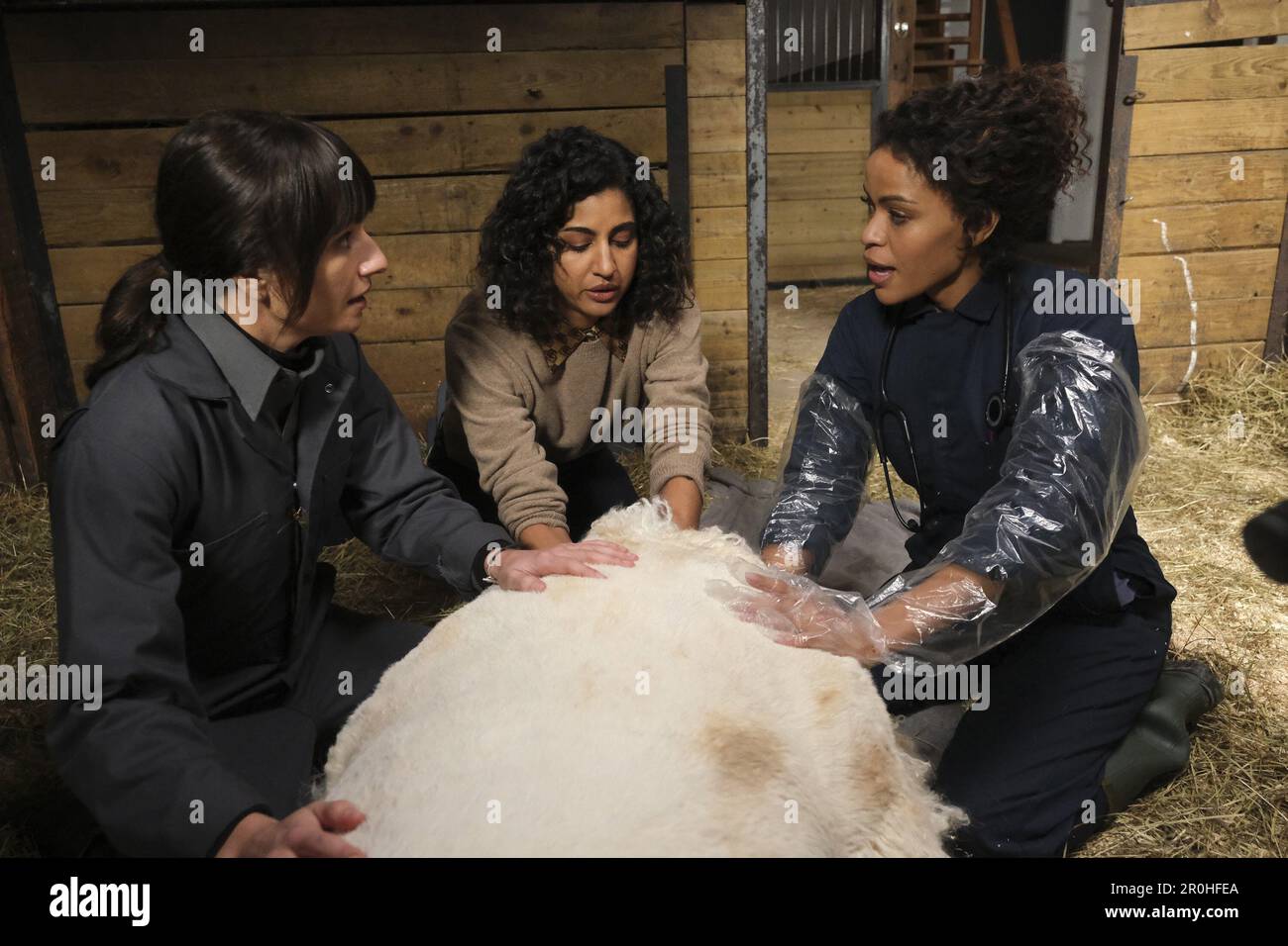 ANIMAL CONTROL, from left: Grace Palmer, Vella Lovell, Alvina August ...