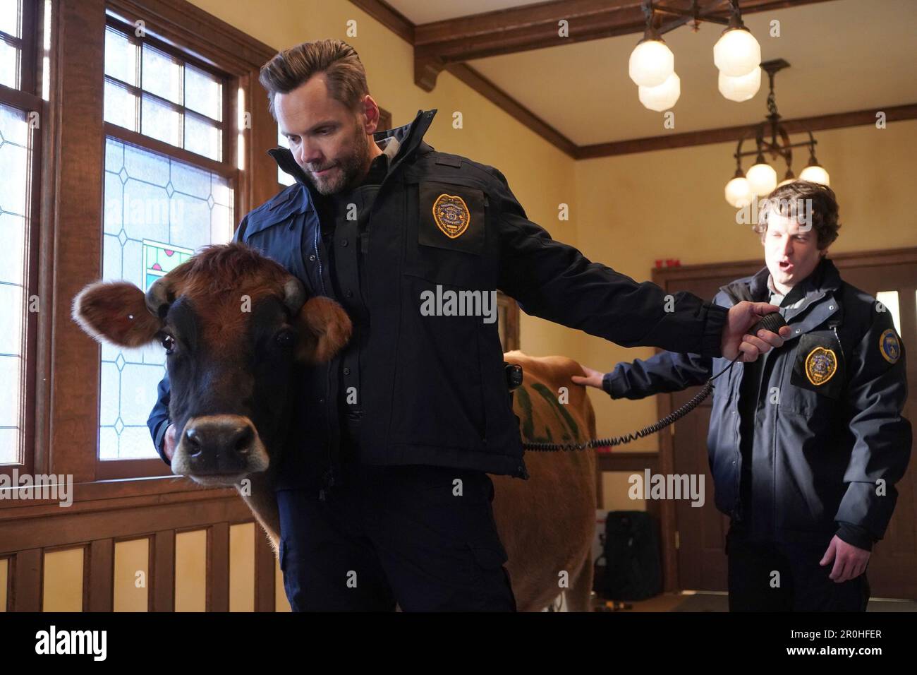 ANIMAL CONTROL, from left: Joel McHale, Michael Rowland, Cows and ...