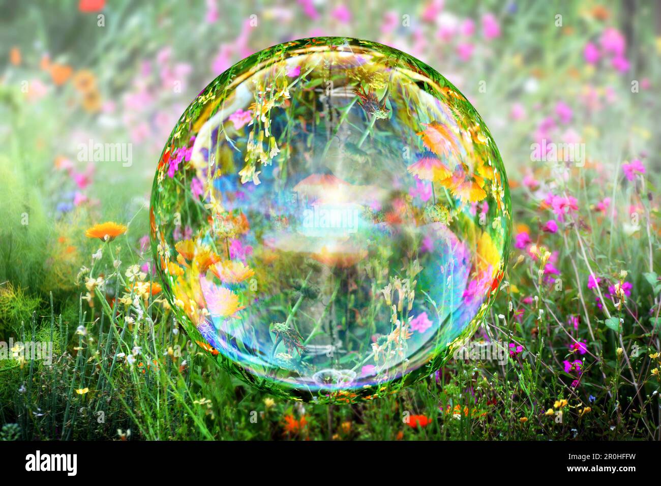 colourful flowers reflecting in a glass sphere, Composing Stock Photo ...