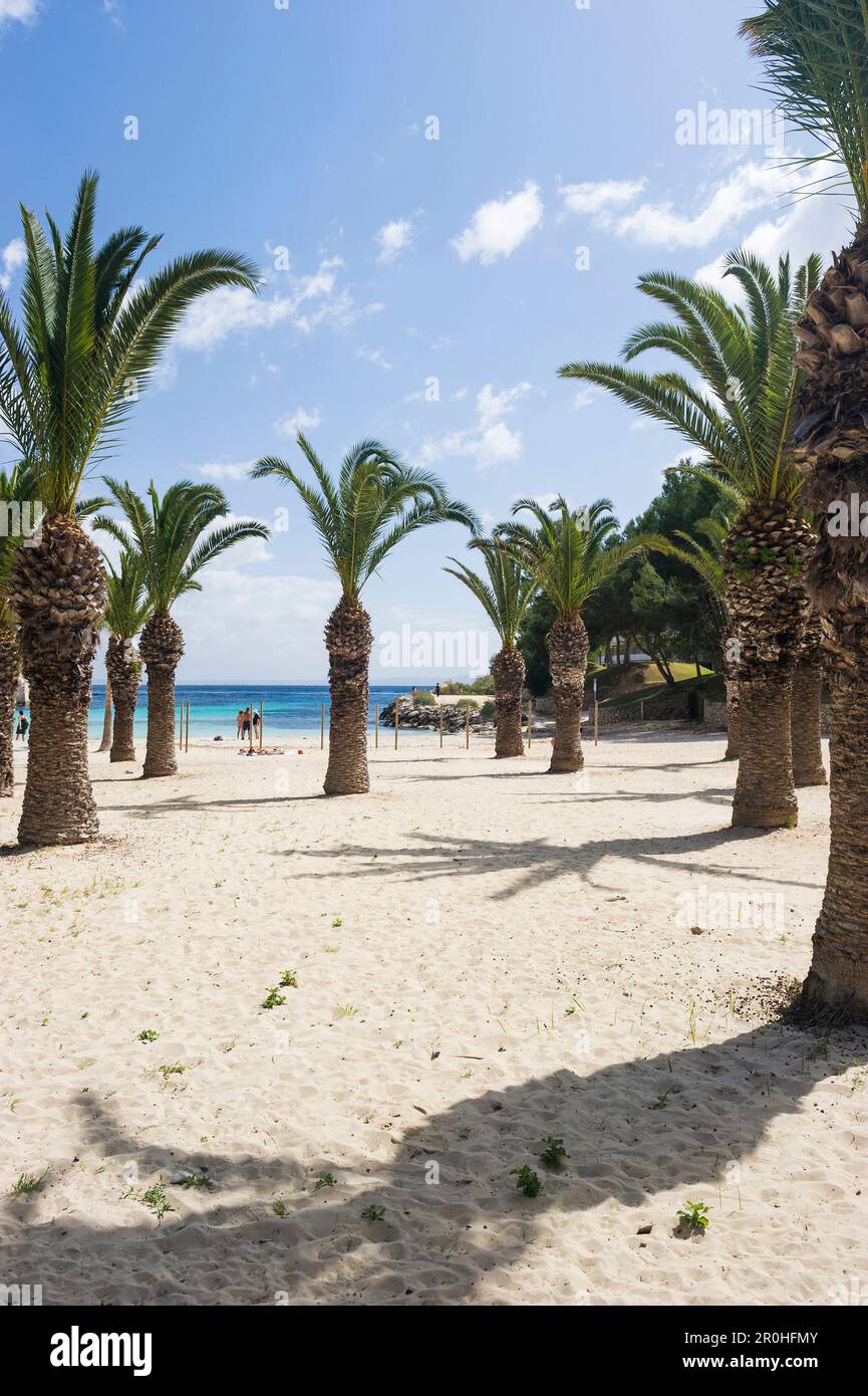 Magaluf beach in mallorca spain hi-res stock photography and images - Alamy