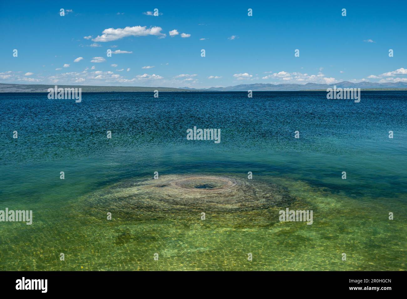 Fishing Cone Just Below Water Stock Photo - Alamy