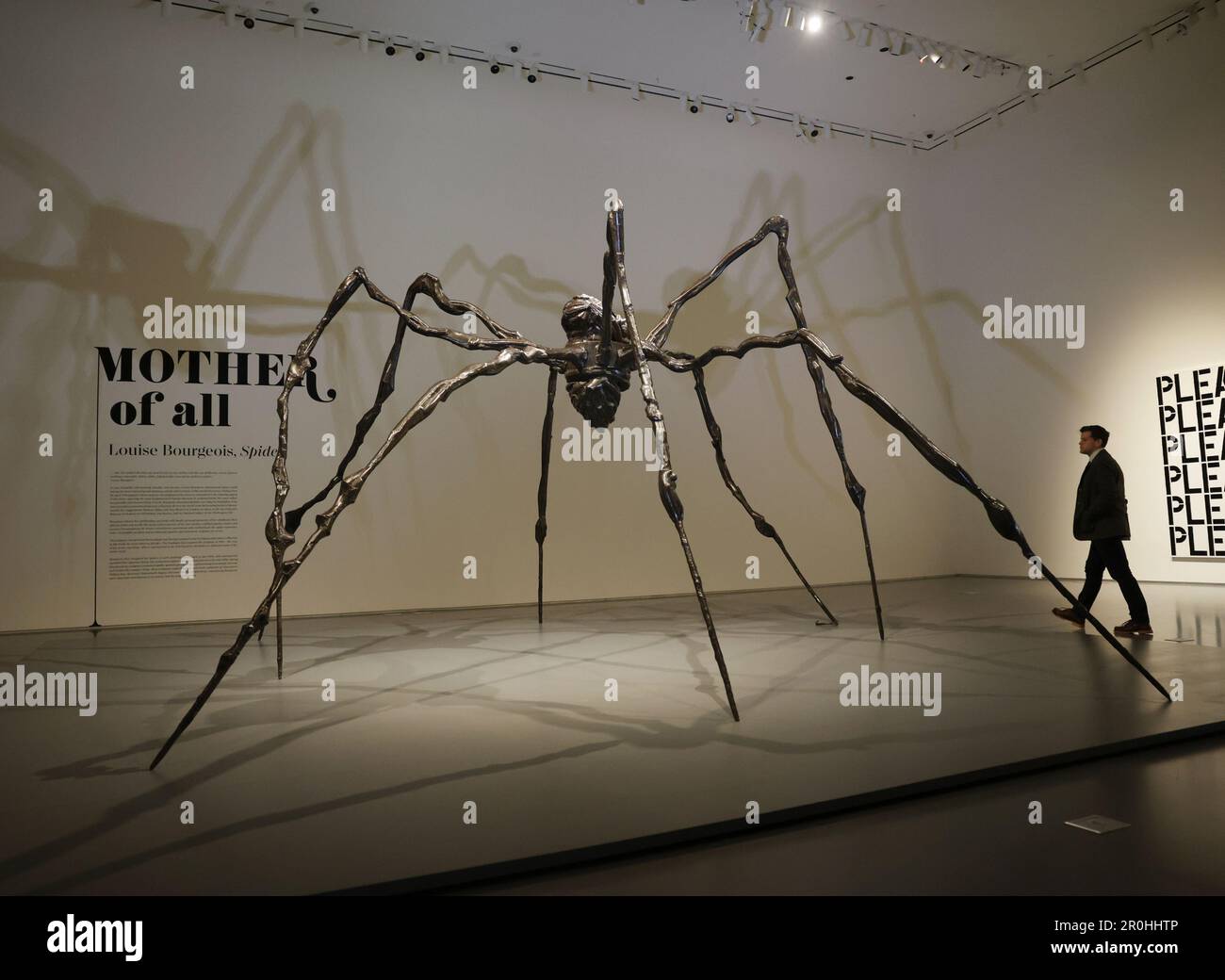 New York, United States. 08th May, 2023. Spider by Louise Bourgeois is ...