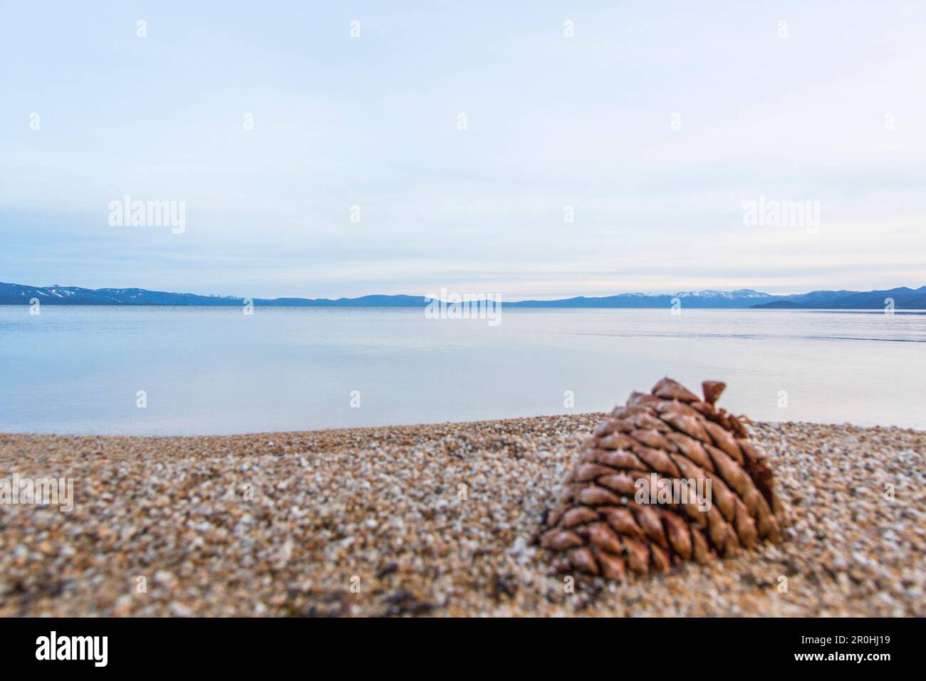 Cone at the beach from Lake Tahoe, California, USA Stock Photo - Alamy