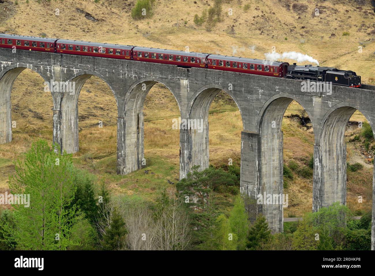 Steam engine crossing Glenfinnan Viaduct, Glenfinnan Viaduct, Hogwarts ...