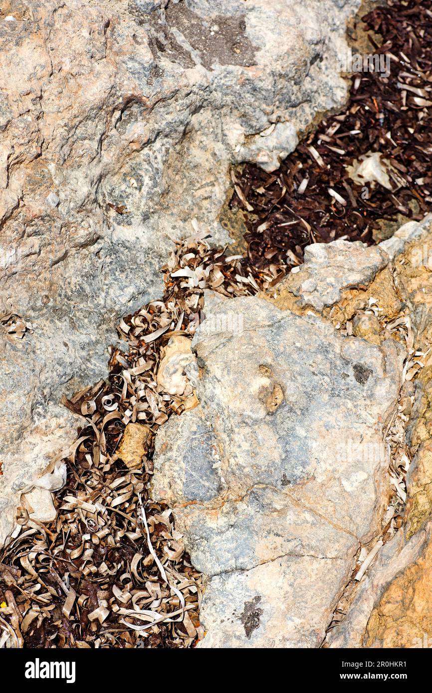 Sea rocks close up nature background high quality metal prints summer ...