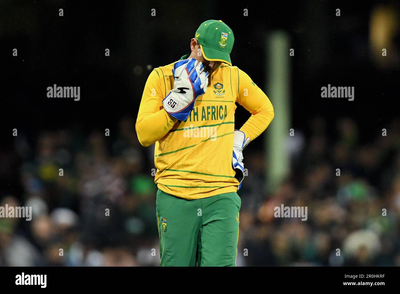 Sydney, Australia, 3 November, 2022. Quinton de Kock of South Africa ...