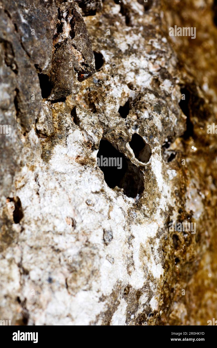 Sea rocks close up nature background high quality metal prints summer ...