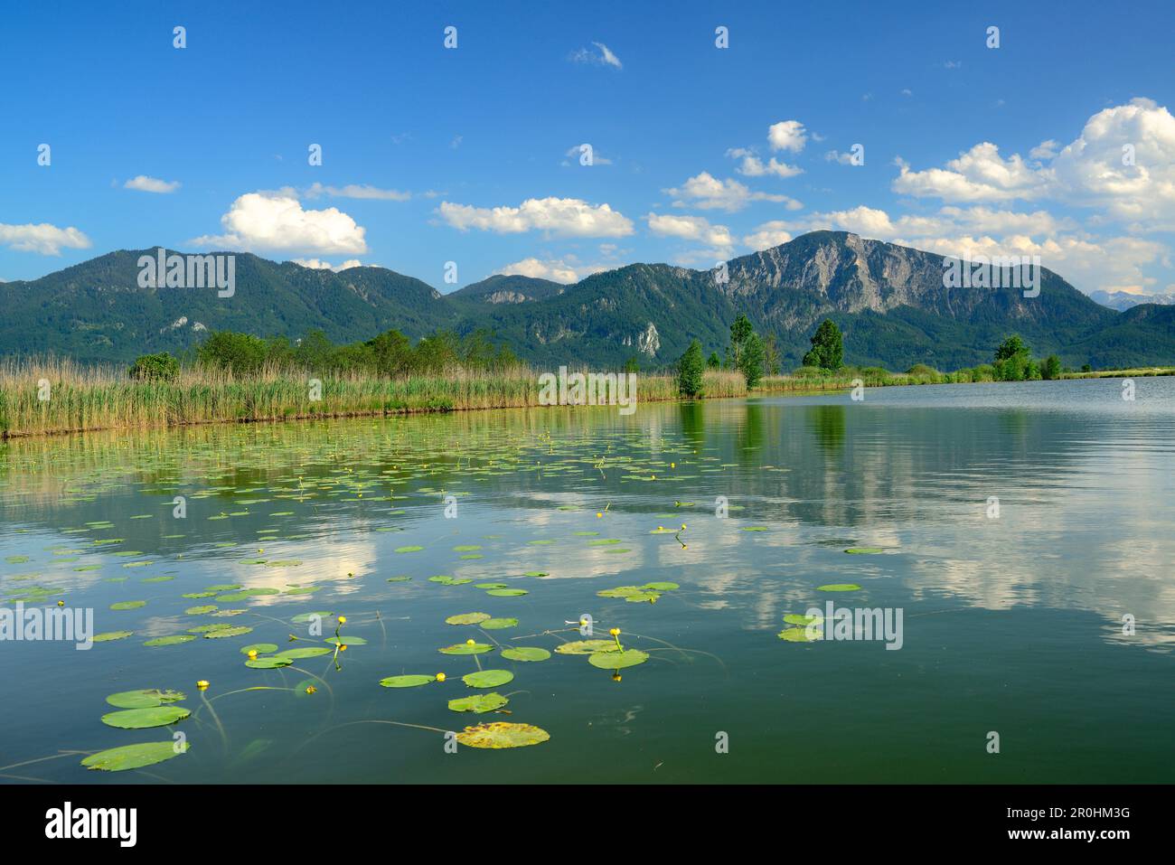 Lake Eichsee with Jochberg, lake Eichsee, Kochelseemoor, Kochel, Bavarian Alps, Upper Bavaria ...