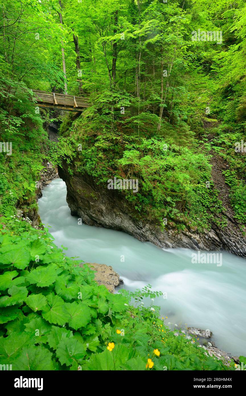 River Partnach flowing through a narrow canyon, Partnachklamm, Garmisch ...