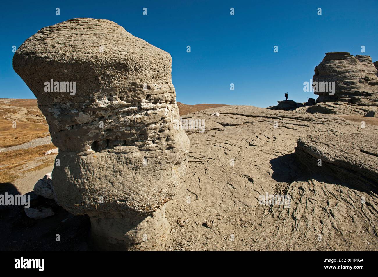 The rock formation of the Sphinx, Bucegi Mountains, Transylvania ...