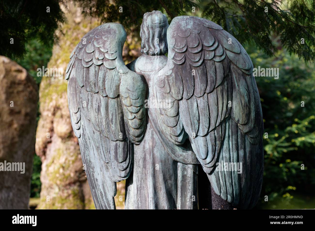 rear view of wings of an angel figure in a historical cemetery Stock ...
