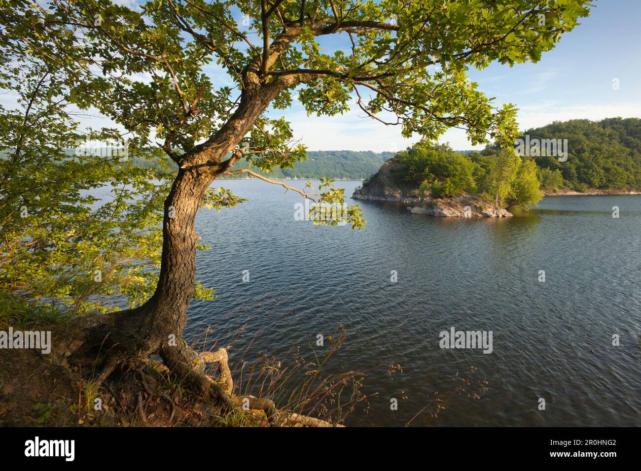 View over the Rur reservoir, Eifelsteig hiking trail, Nationalpark ...
