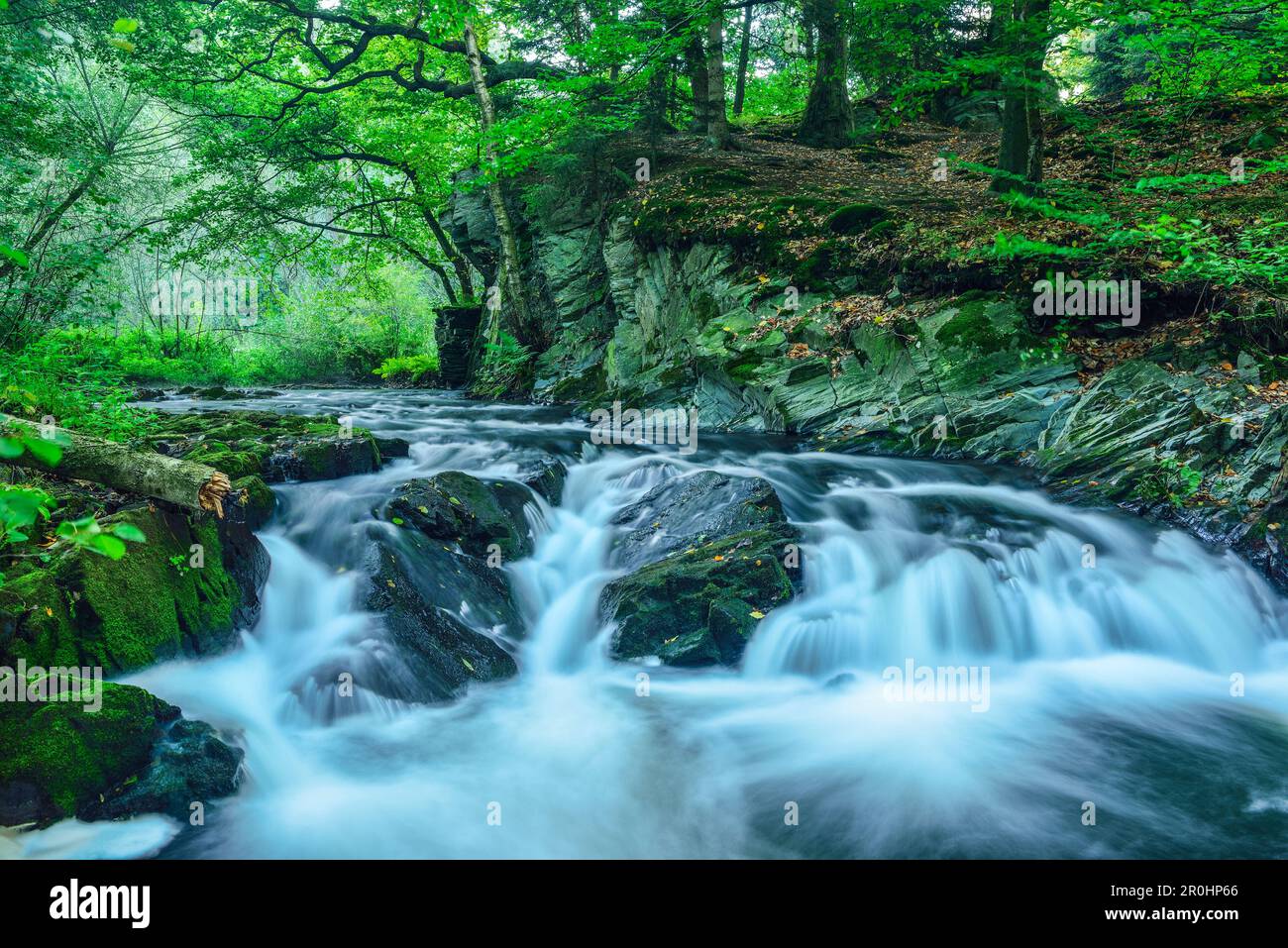 River Selke Fall, Selke Valley, Harz Mountains, Saxony-Anhalt, Germany ...