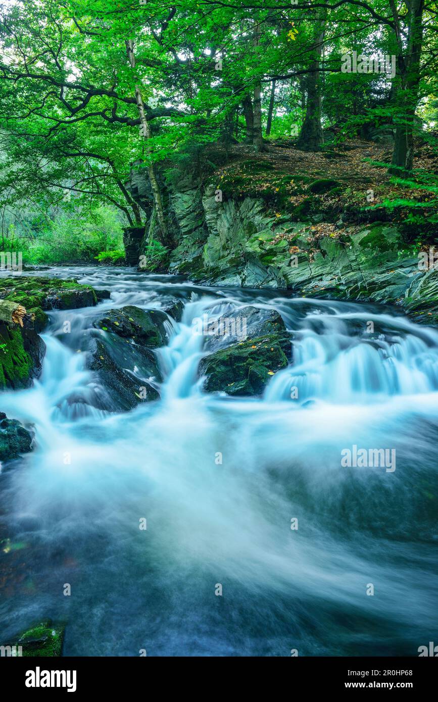 River Selke Fall, Selke Valley, Harz Mountains, Saxony-Anhalt, Germany ...